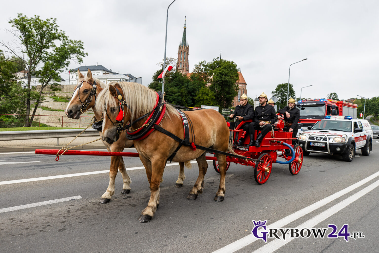 - Regionalny Portal Informacyjny